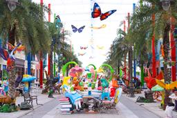 Wonder Museum | Nova Dreams